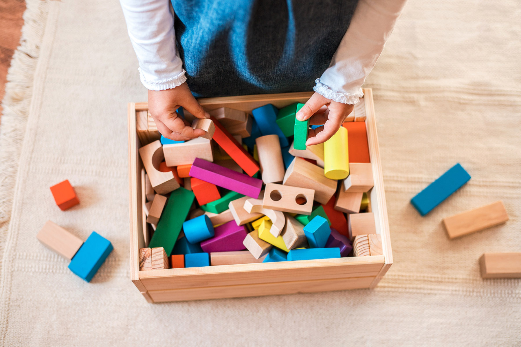 How to Build a Toy Box – Mother Earth News